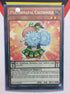 PERFORMAPAL CHEERMOLE - RARE - VARIOUS - 1ST — Transcend Cards
